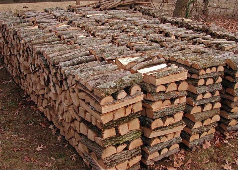 Πιο Είδος Ξύλου Να Επιλέξω Για Το Τζάκι Μου; - Homistic.gr